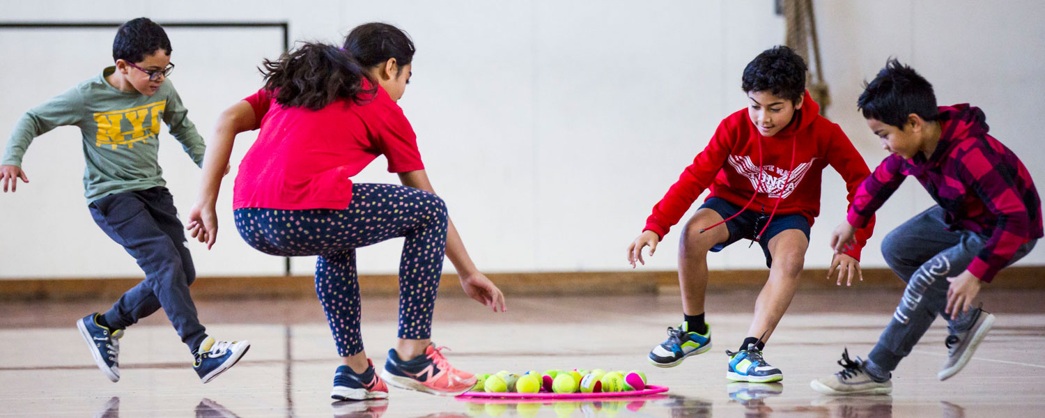 Diversity Equity and Inclusion | Sport New Zealand - Ihi Aotearoa